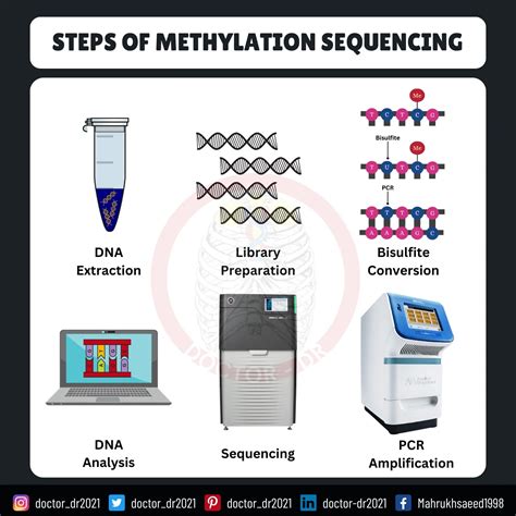 Advanced Dna Methylation Sequencing Targeted Bisulfite Techniques And Cpg Analysis