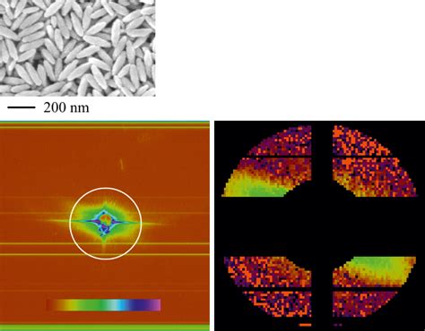 New Algorithms For Single Particle Diffractive Imaging