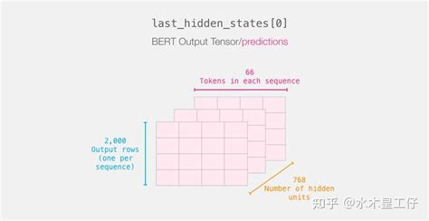 【小白学习笔记】 Pytorch之bert 文本分类 知乎 【小白学习笔记】 Pytorch之bert 文本分类 知乎