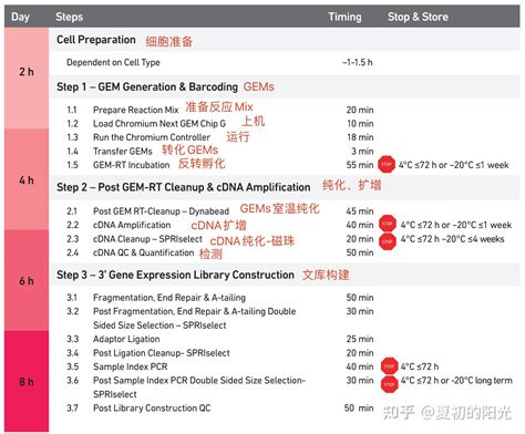 10x Genomics 单细胞技术简介 知乎