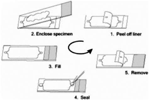 Hybriwell™ Sealing Chambers Electron Microscopy Sciences Microarray Slides