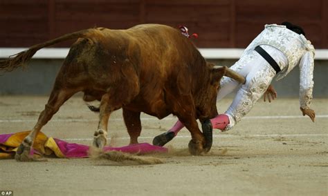 The Bull Is Mightier Than The Sword Spanish Matador Tossed Into The