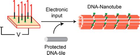 Remote Electronic Control Of Dna Based Reactions And Nanostructure Assemblynano Letters X Mol