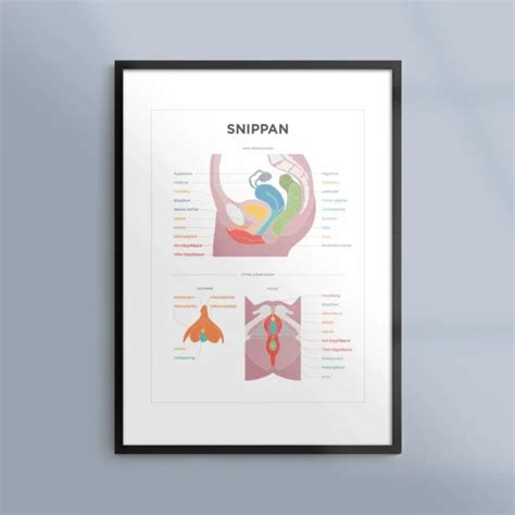 Poster Med Det Kvinnliga Könsorganet Snippan Kunskapat