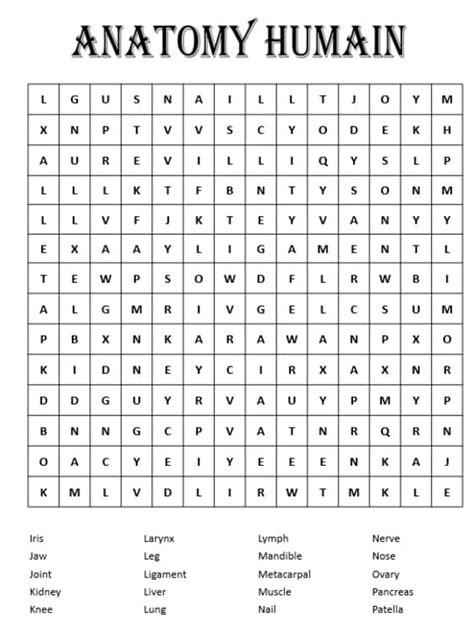 Anatomy Word Search Worksheets Human Body Systems Activity Fun
