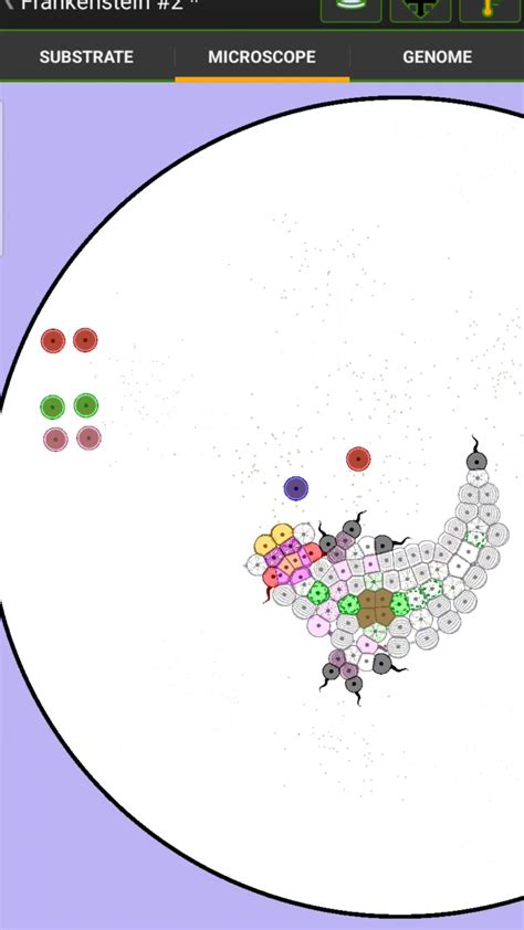 More Progress R Celllab