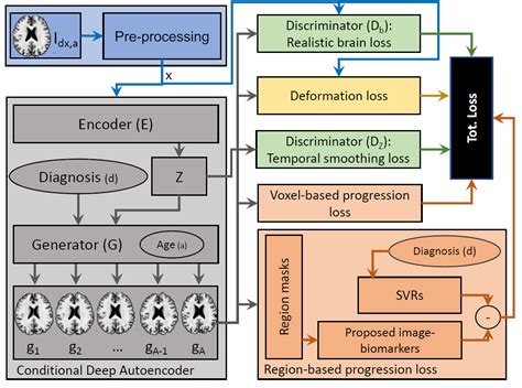 Reading Notes Degenerative Adversarial Neuroimage Nets Generating