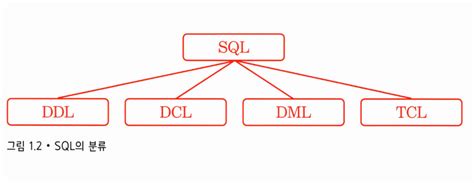 [db] sql 문법의 분류 brain backup