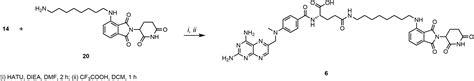 Methotrexate Based Protacs As Dhfr Specific Chemical Probes Cell Chemical Biology
