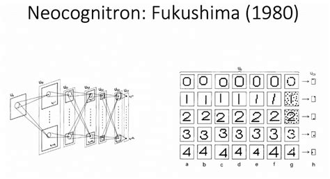 殊途同归：生物视觉与人工视觉 智源社区