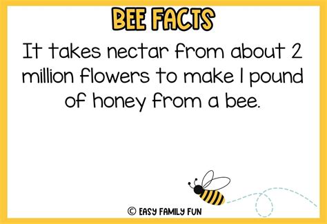 Buzzing With Knowledge Explore 65 Fascinating Facts About Bees
