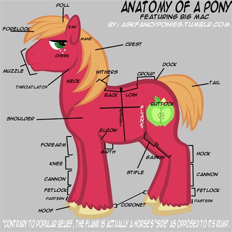 3277933 Safe Artistmrsred Big Macintosh Earth Pony Pony G4