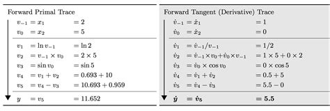 神经翻译笔记3扩展b 自动微分 Csdn博客