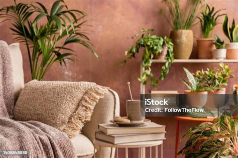 식물 베이지 색 소파 커피 테이블 및 세련된 액세서리가있는 창의적인 넓은 거실 인테리어의 국내 구성 아늑한 방의 식물 공간 갈색 벽 템플렛 가정의 방에 대한 스톡 사진 및