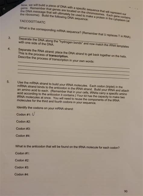 Solved Anter Lab 10 DNA STRUCTURE AND FUNCTION Laborator Chegg Com