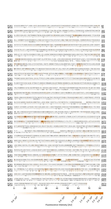plot epitope mapping data onto protein sequence alignments — biotite