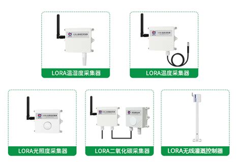Lora