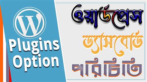 ওয়ার্ডপ্রেস ড্যাসবোর্ড পরিচিতি Wordpress Plugins Option Installed Plugins Plugin File