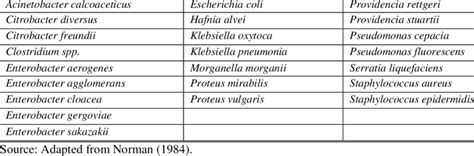 Potentially Pathogenic Bacteria Isolated From Cosmetic Preparations Download Scientific Diagram