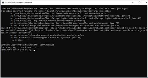 Anyone Know Why My Rlcraft Server Is Not Working R Minecraft
