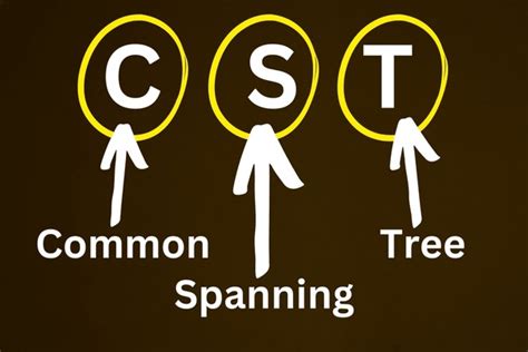 Common Spanning Tree Over 1 Royalty Free Licensable Stock