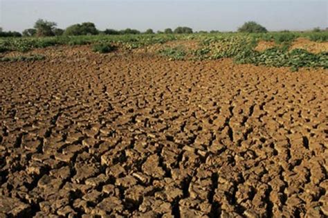 Degradación Impacta En Suelos Cultivables De Centroamérica Radio Tgw