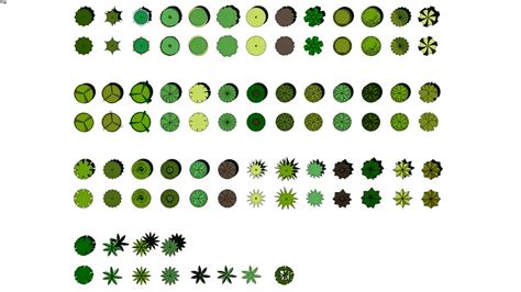 2d Trees In Plan 3d Model