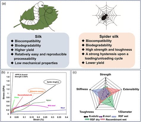 Silkworm Silk Can Become A High‐strength And Super‐toughness Spider