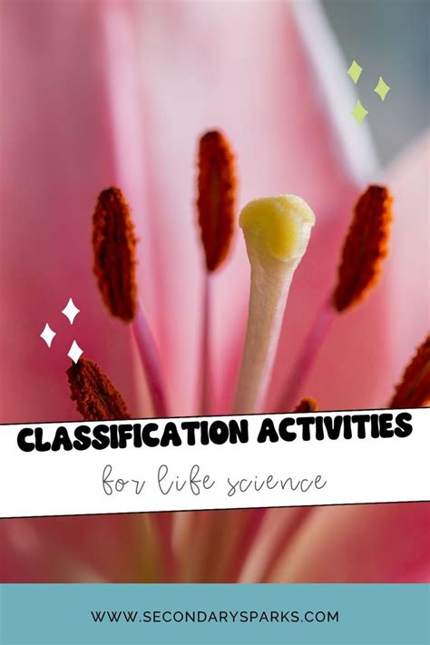 Teaching Classification Of Organisms And Taxonomy Secondary Sparks Life Science Activities