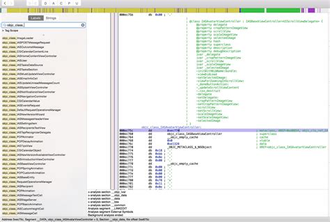 Ios Objective C Class Identifiers Are Prefixed With Objcclass