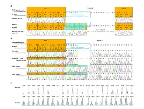 Molecular Characterization Of A Second Site Il2rg Mutation 45 Days