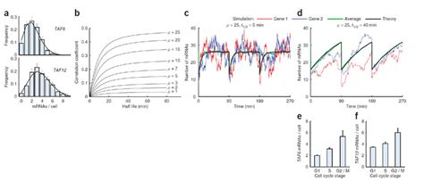 Stochastic Model Predicts Correlation Coefficients From Mean Mrna Download Scientific Diagram