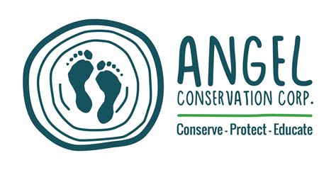 Angel Conservation Conserve Educate Protect