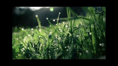 머리를 맑게 해 주고 마음의 안정을 주는 숲속 명상음악 힐링음악 스트레스해소음악 하루10분 만병을 치유해주는 음악 오늘도 미소를 잃지 말고 시작해 보세요 Youtube