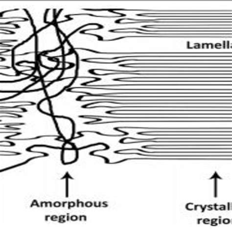 Polymer Chains A Linear Polymers B Branched Polymers C Download Scientific Diagram