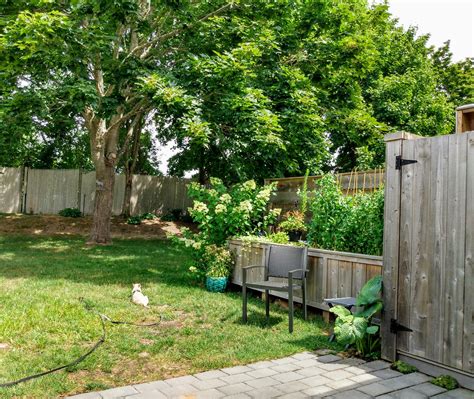 Img20200724120707200hdr Eva Posner Flickr