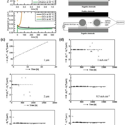 Polarization Behaviors Of A An Ideal Non‐polarizable Electrode And B Download Scientific