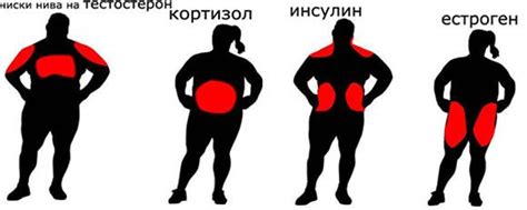 Хормоните и Напълняването в Определени Части на Тялото За Жената