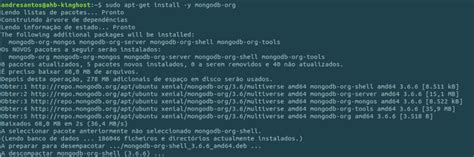 Como Conectar Um Banco Mongodb Via Terminal Shell Kinghost