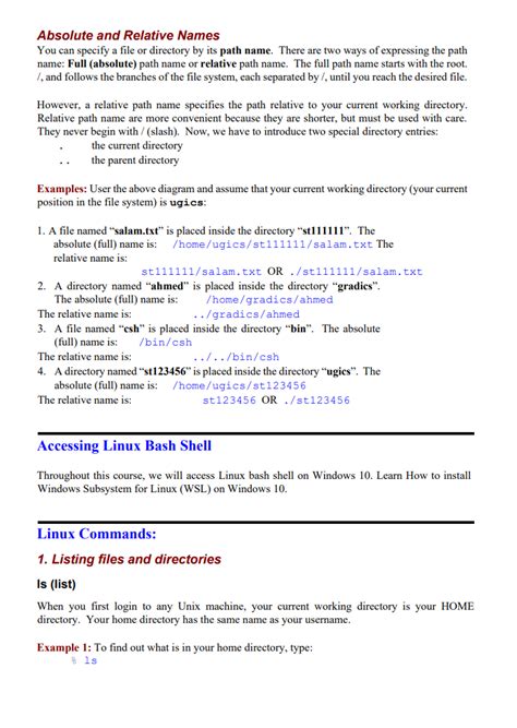 Solved Absolute And Relative Names You Can Specify A File Or Chegg Com
