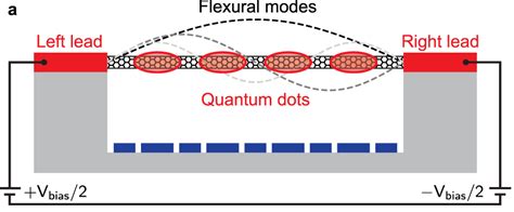 Correlated Electron Phonon Physics In Nanotube Quantum Simulators Mapping Ignorance