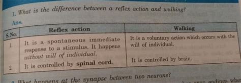 Difference Between Reflex Action And Walking Edurev Class 10 Question