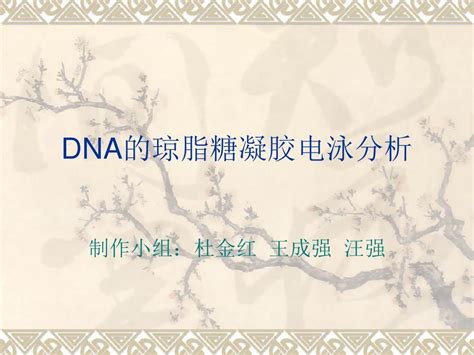 Dna Word