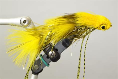 Tuesday Tips Top Flies For The South Fork Snake River Orvis News
