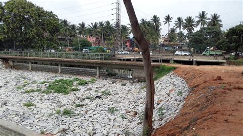 Biome Trust Agara Lake Report