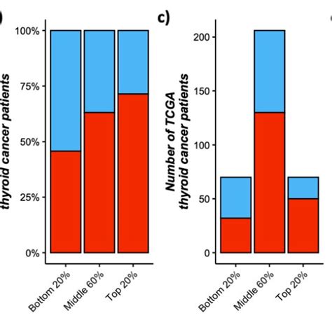Patients With Thyroid Tumors Driven By Braf Somatic Mutations Have