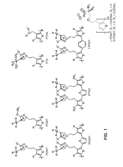 Binding Of Pathological Forms Of Proteins Using Conjugated Polyelectrolytes Eureka Patsnap