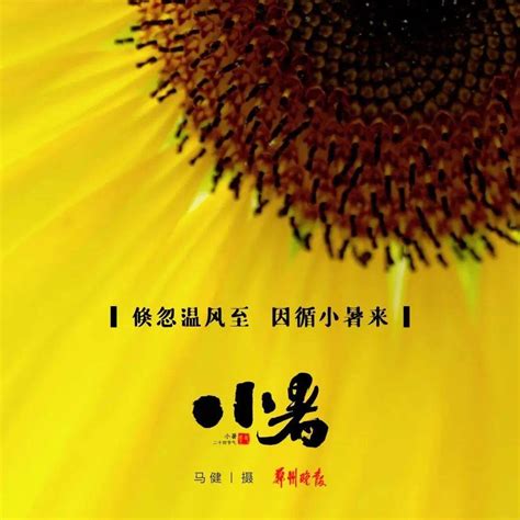 今日小暑 心若无尘清风自来 夏天 温风至 活动