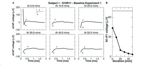 Ecap Responses During Continuous Stimulation Of 50 Min In Subject 1 Download Scientific
