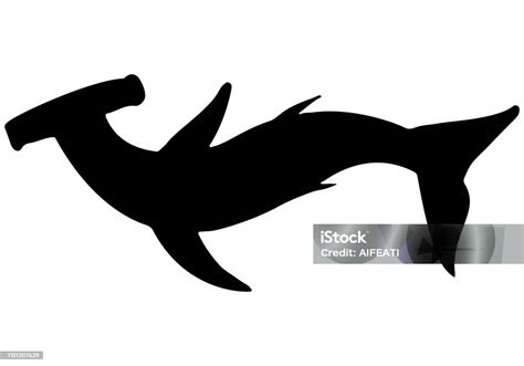 추상 손으로 그려진 거 대 한 망치 상어 실루엣 흰색 배경에 고립입니다 벡터 일러스트입니다 평면도 대형에 대한 스톡 벡터 아트 및 기타 이미지 Istock